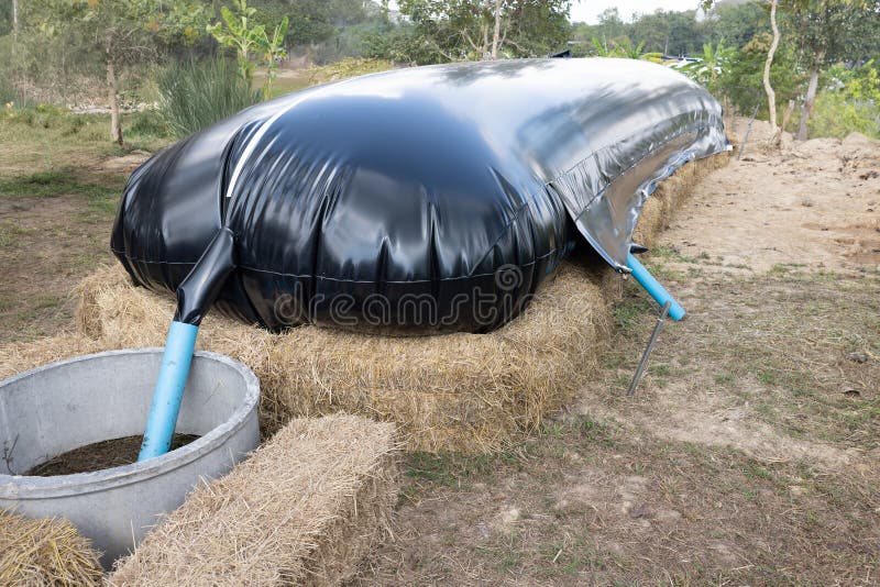 Small Covered Lagoon Digester for Biogas Production from Pig Farm Stock ...
