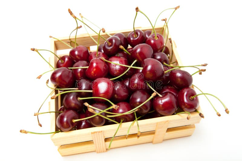 Small crate of cherries stock photo. Image of bright - 32481410