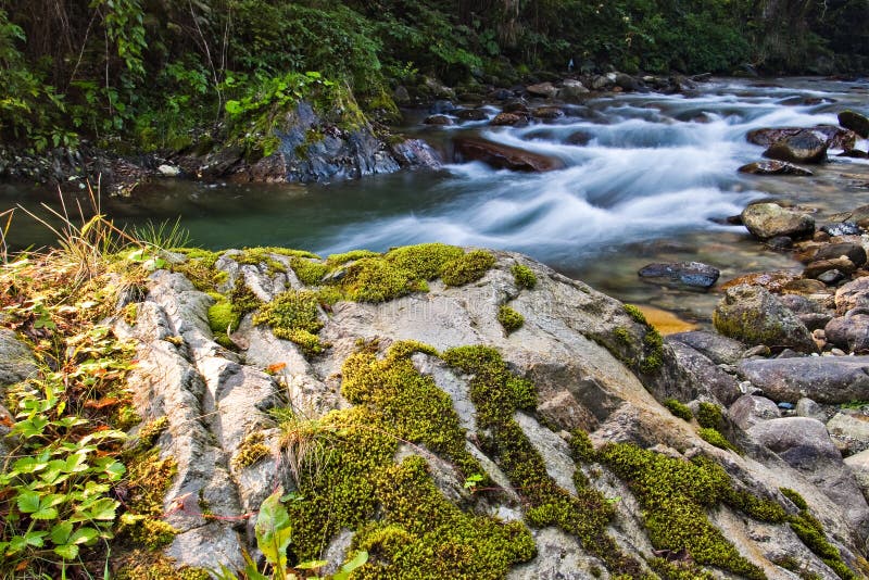 Flowing creek stock photo. Image of river, fall, green - 2266170