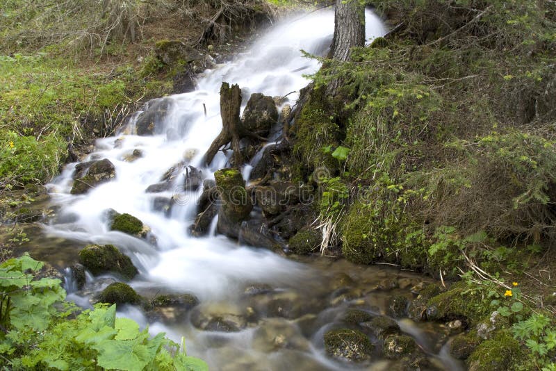 Small creek stock image. Image of forest, creek, covered - 14331385