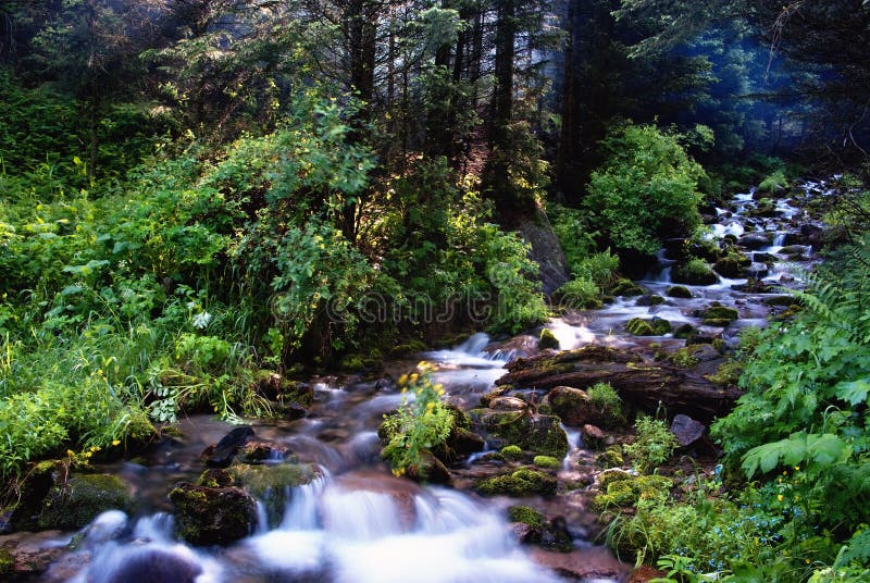 Small creek stock image. Image of water, plants, river - 14487727