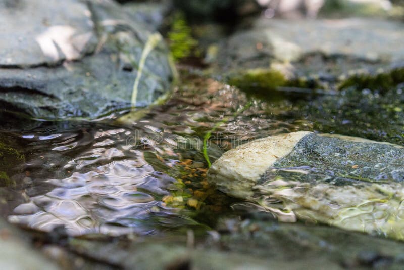 Small Creek with Water and Big Rocks Stock Photo - Image of fall ...