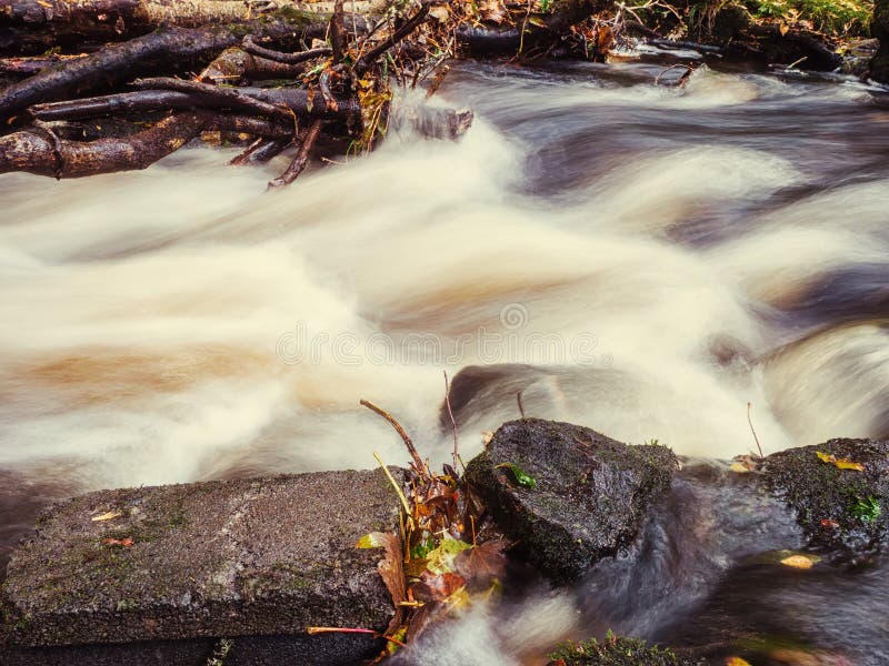 Small Creek with Blurred Water Surface. Nature Scene with Small River ...