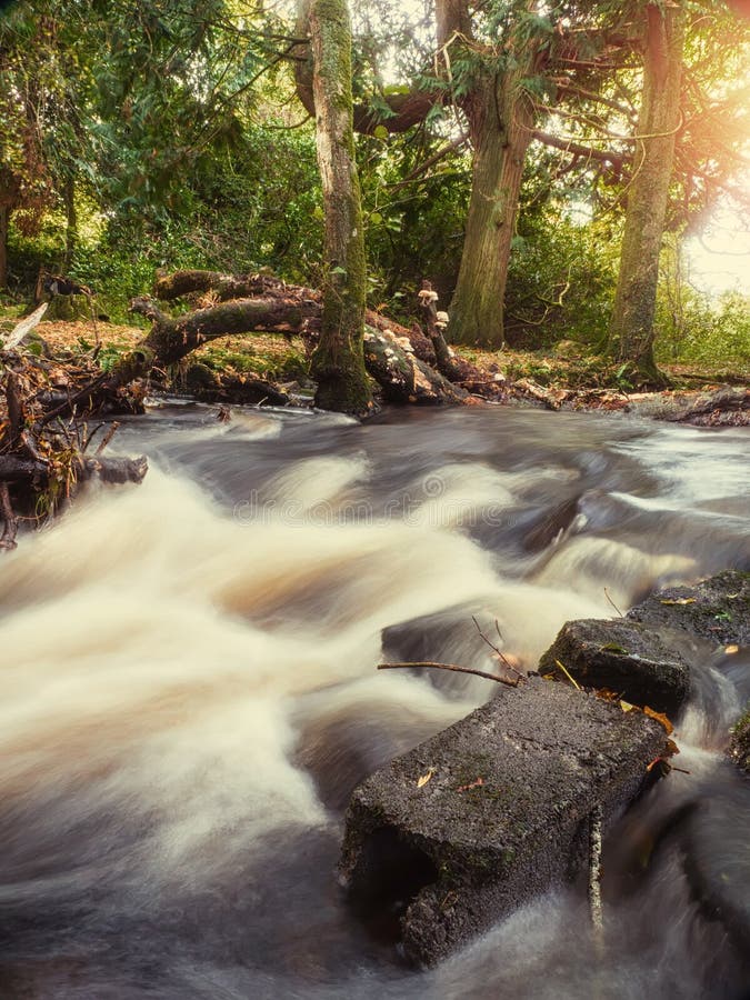 Small Creek with Blurred Water Surface. Nature Scene with Small River ...