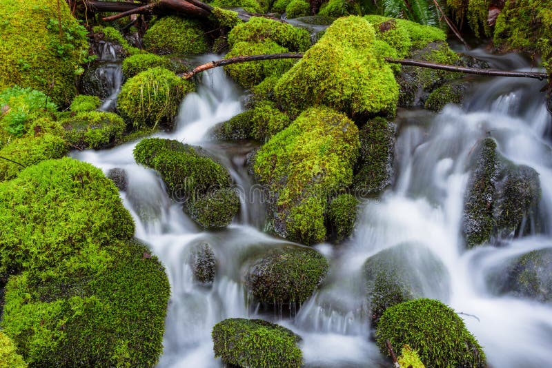 Small Creek Cascade Waterfall Stock Image - Image of outdoor ...