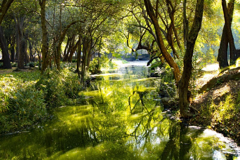Small Creek with Sunset Sun Stock Image - Image of pequeño, leaf: 245437027