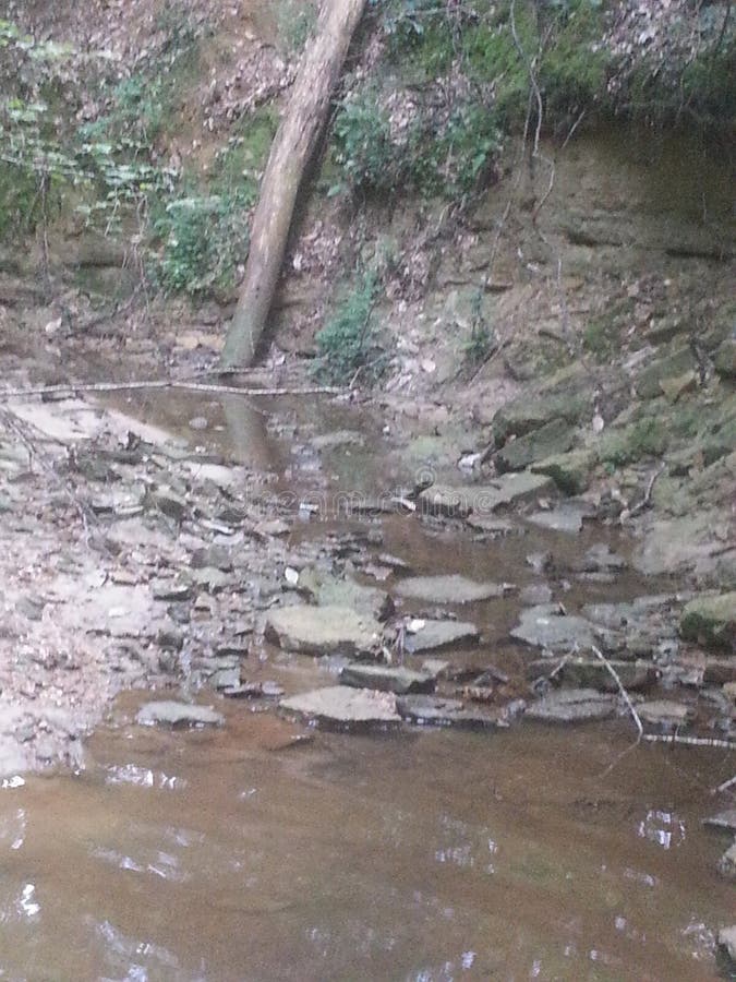 Small Creek in the country stock image. Image of river - 127350259