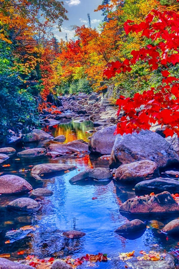 Creek in the fall stock photo. Image of crick, nature - 62201742
