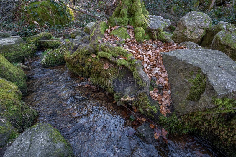 Small Creek Flowing through Big Rocks in the Forest Stock Photo - Image ...