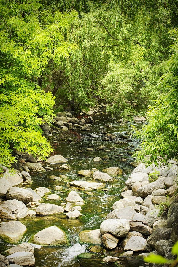 Small Creek Stock Photos - Download 20,579 Royalty Free Photos