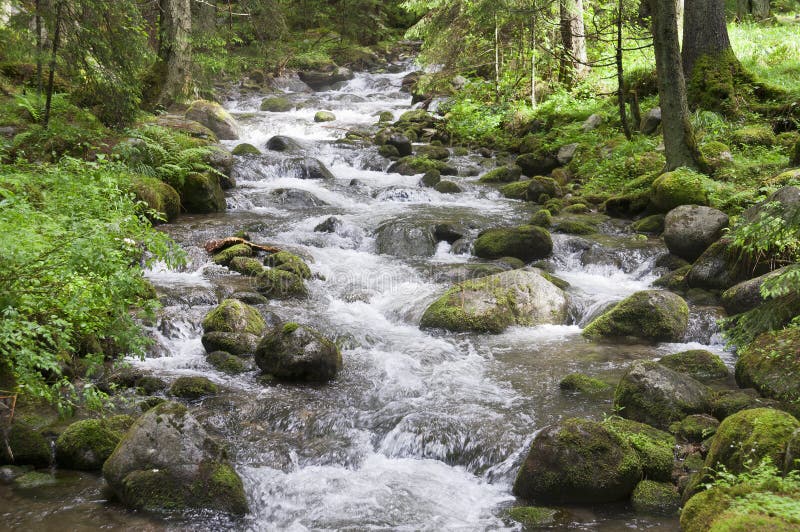 Small creek horizontal stock image. Image of nonurban - 37352913