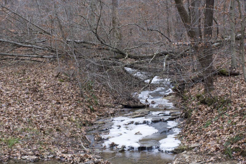 Frozen Stream in the Forest Stock Image - Image of flows, stream: 134238797