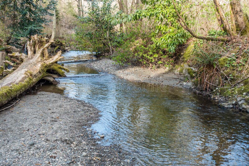 Small Creek Landscape stock photo. Image of stream, water - 178802728