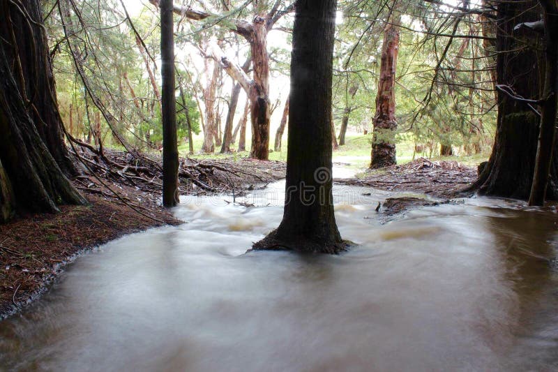 Small creek stock image. Image of exposure, long, creek - 76187901