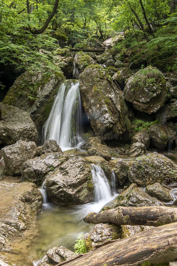 Small Creek with Many Waterfalls in the Middle of Forest Stock Photo ...