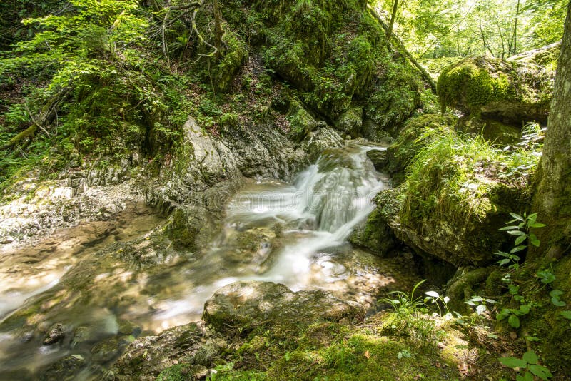 Small Creek with Many Waterfalls in the Middle of Forest Stock Photo ...