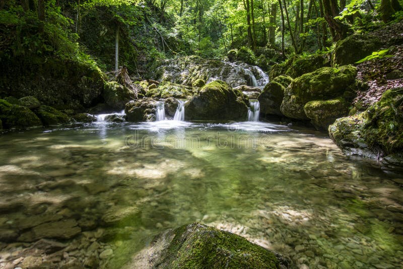 Small Creek with Many Waterfalls in the Middle of Forest Stock Image ...
