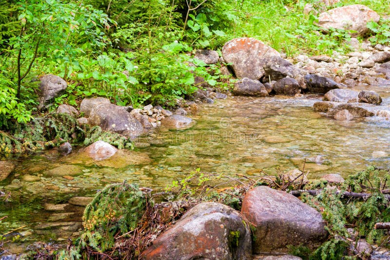 Small Creek Stock Photos - Download 20,579 Royalty Free Photos