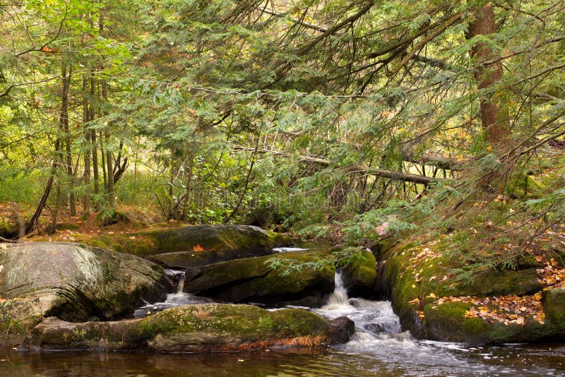 Small Creek in Muskoka, Ontario Stock Image - Image of autumn, creek ...