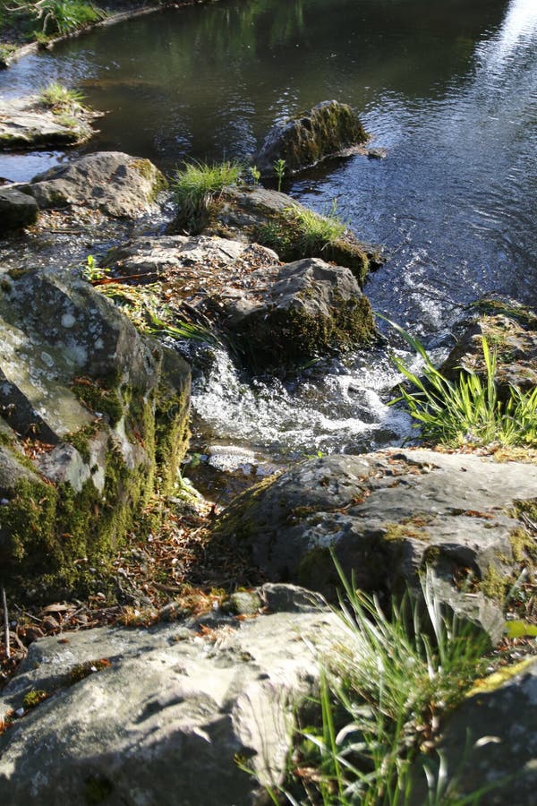 Small Creek, River Falls Over a Small Waterfall, Over Stones, into a ...