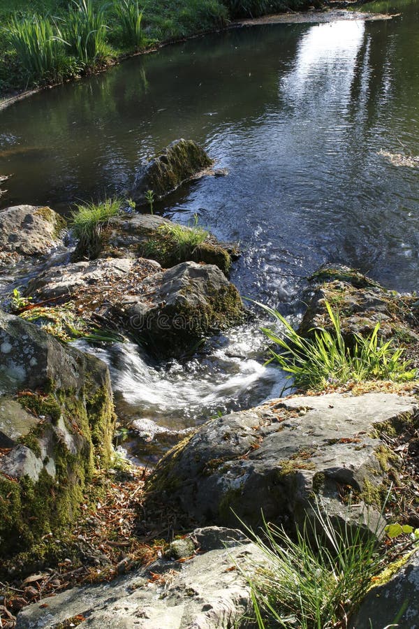 Small Creek, River Falls Over a Small Waterfall, Over Stones, into a ...