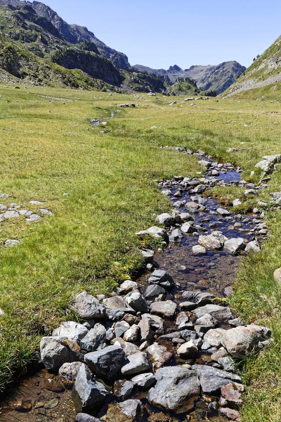 Small Creek on Rocks in the Middle of Meadow Stock Image - Image of ...