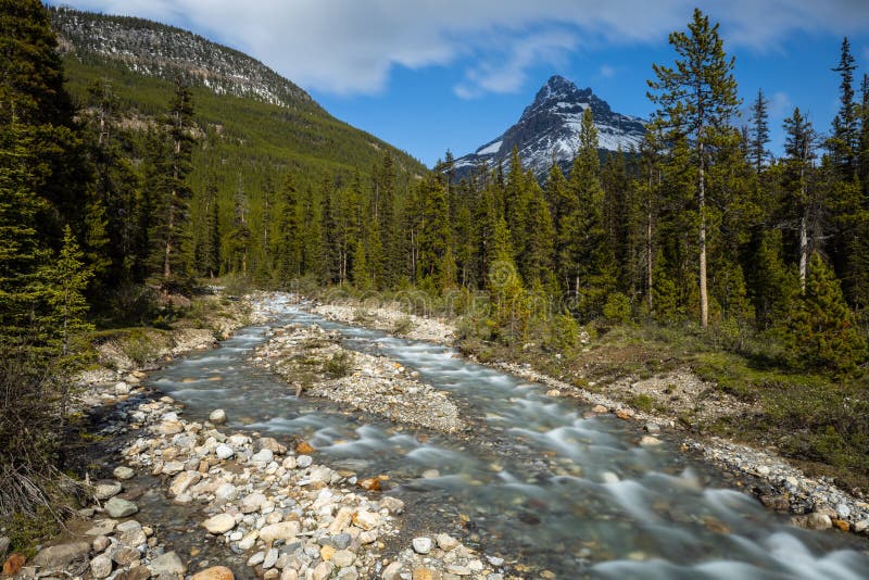 Small Creek in the Rocky Mountains of Canada Stock Image - Image of ...