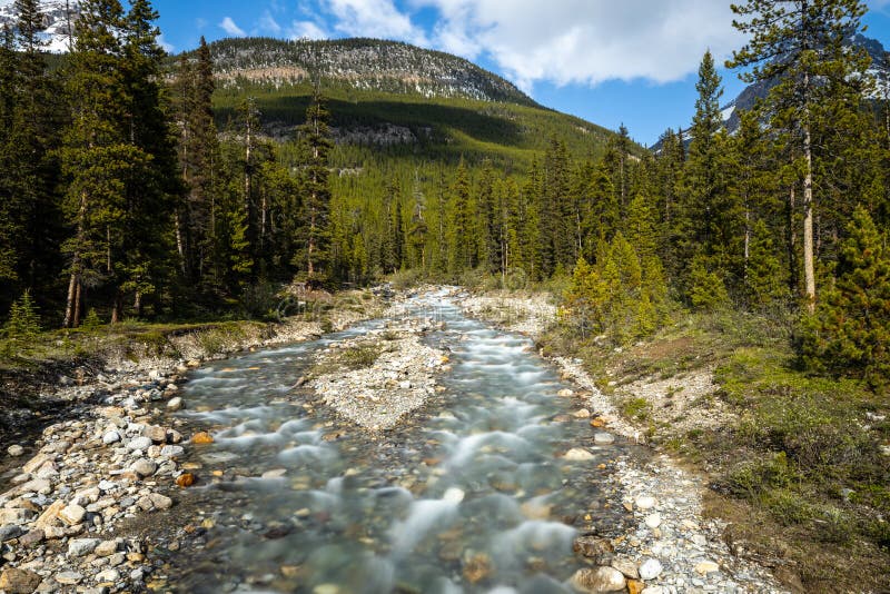 Small Creek in the Rocky Mountains of Canada Stock Photo - Image of ...