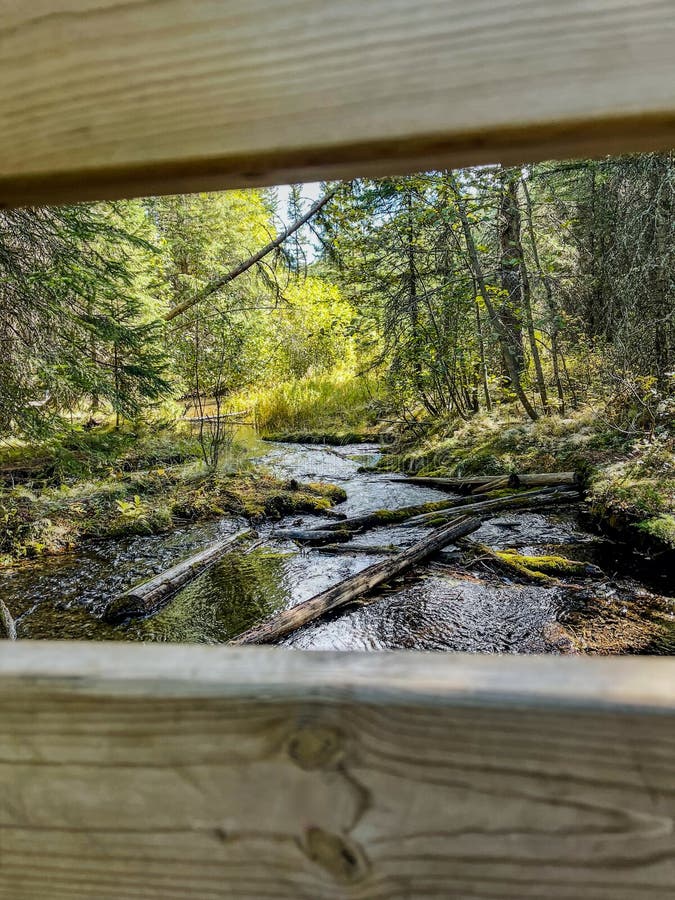 Small Creek Seen through Wooden Bridge Stock Image - Image of ...