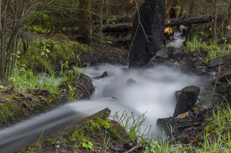 Small Creek on Slope between Brig Town and Simplonpass in Spring ...
