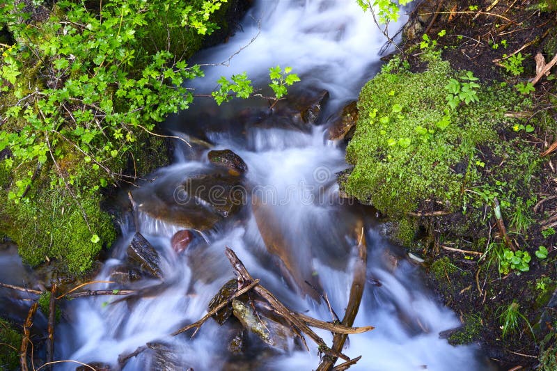 Small Creek Stream stock photo. Image of flowing, creek - 38026302