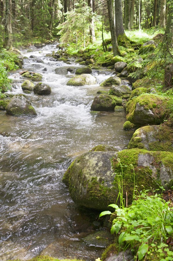 Small Creek Stream and Waterfall Stock Image - Image of bubble ...