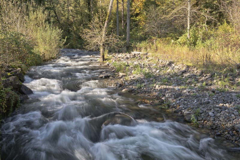 Small Creek in Washington State. Stock Photo - Image of rocks ...