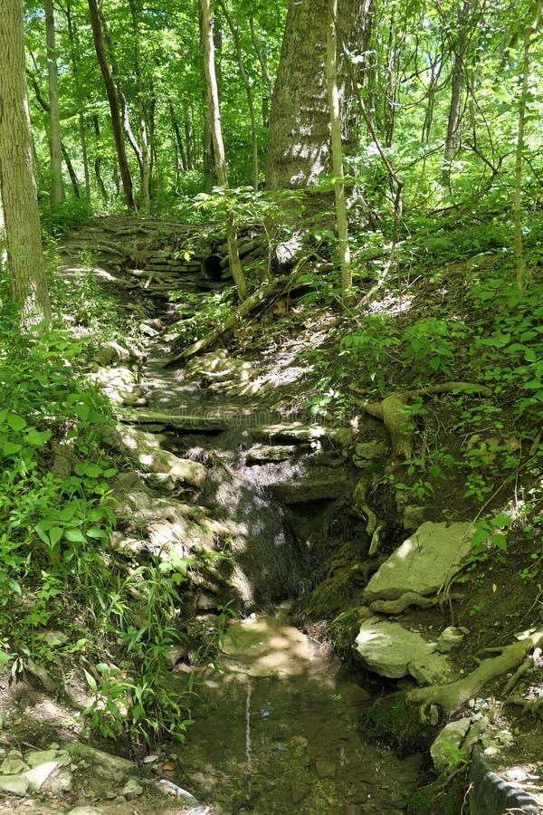 Small Creek Waterfall in the Forest Stock Photo - Image of nature ...
