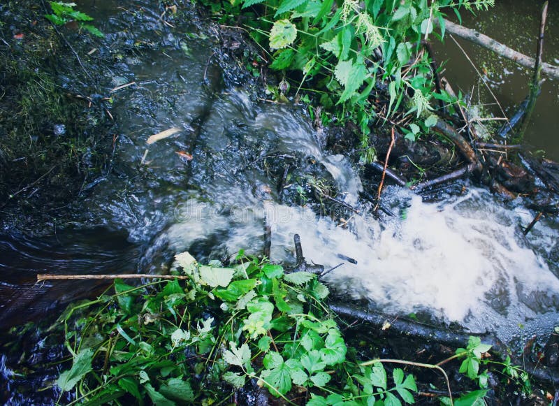 Small creek in the woods stock image. Image of forrest - 91130139