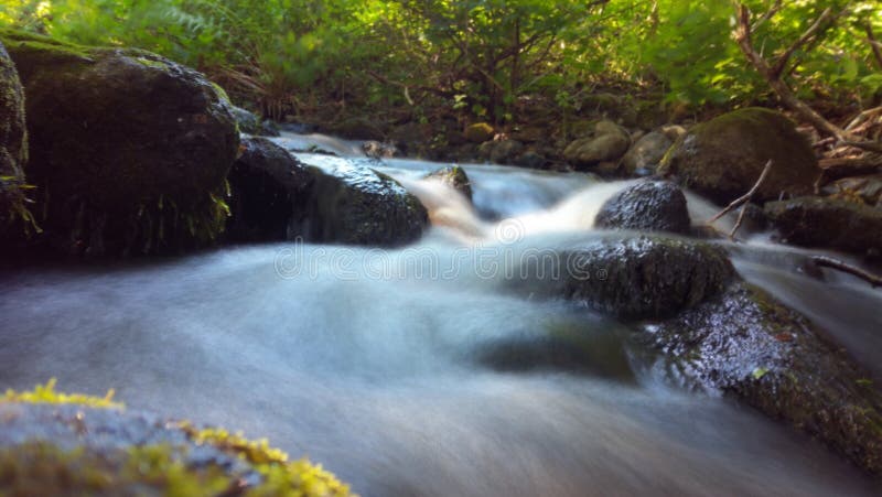 Small creek in the woods stock image. Image of creek - 172746495