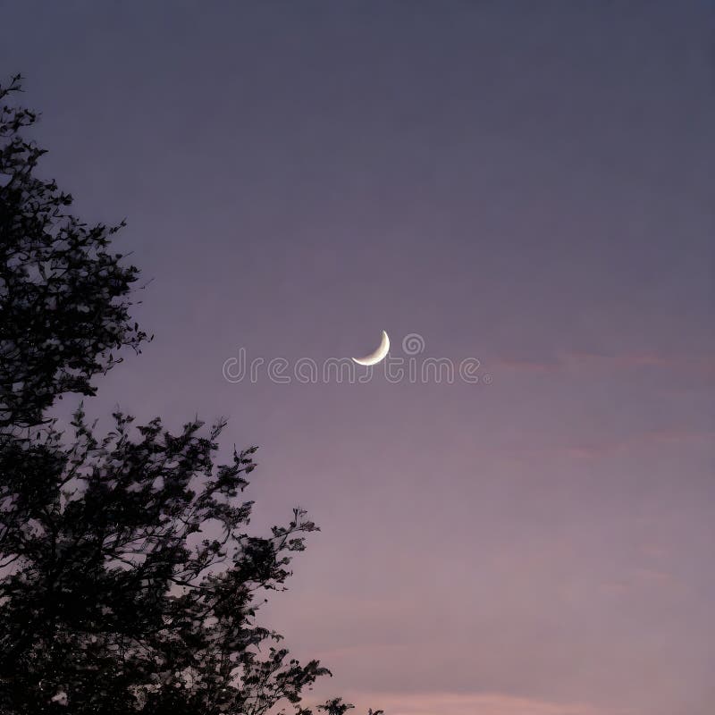 Small Crescent Moon Illuminated Against the Dusk Sky, Silhouetting the ...