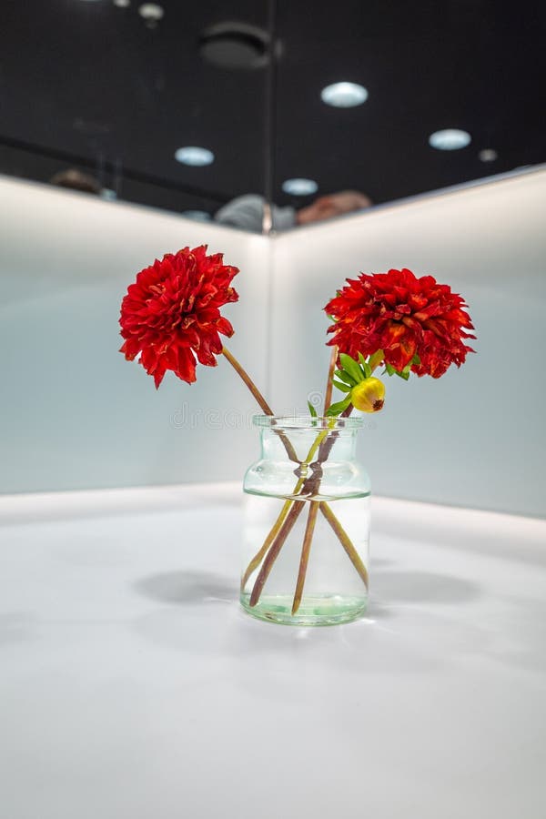 Small Cut Flowers Stand in a Glass Vase Stock Photo - Image of leaf ...