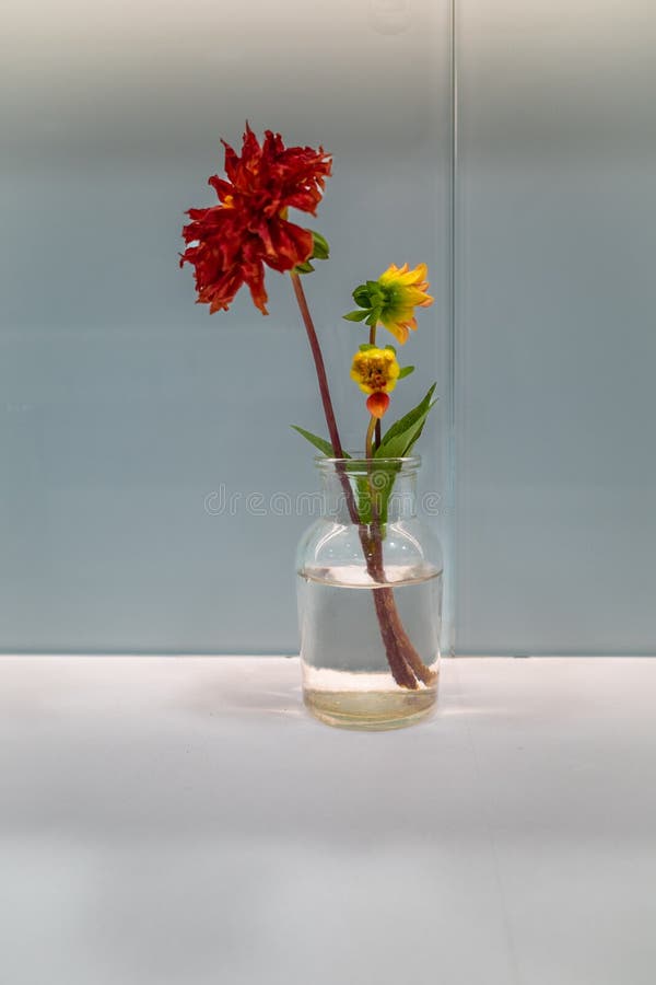Small Cut Flowers Stand in a Glass Vase Stock Photo - Image of isolated ...