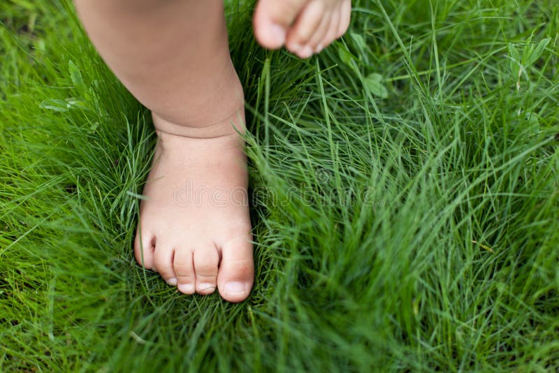 Small cute baby feet. stock image. Image of finger, infant - 35372797
