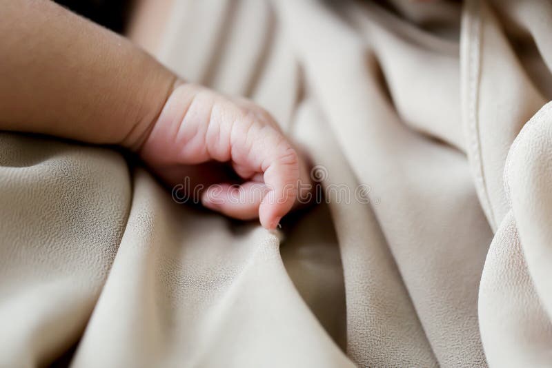 A small cute baby hand stock image. Image of macro, hand - 183391157