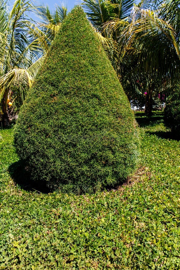 1,517 Small Cypress Garden Stock Photos - Free & Royalty-Free Stock ...