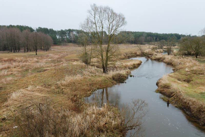 Small Dammed Meandering Forest River in Autumn Stock Image - Image of ...