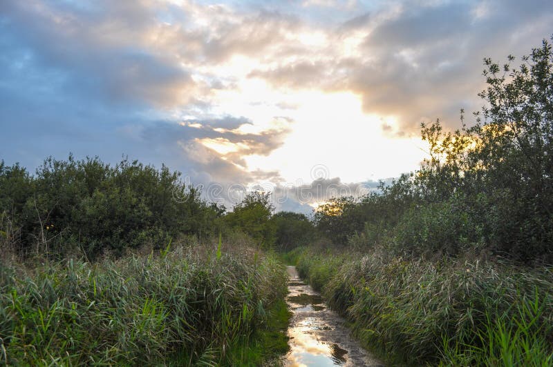 Small danish River stock image. Image of sunny, river - 101048293