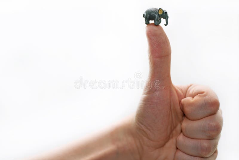 Small Decorative Elephant on Finger. Stock Image - Image of india ...