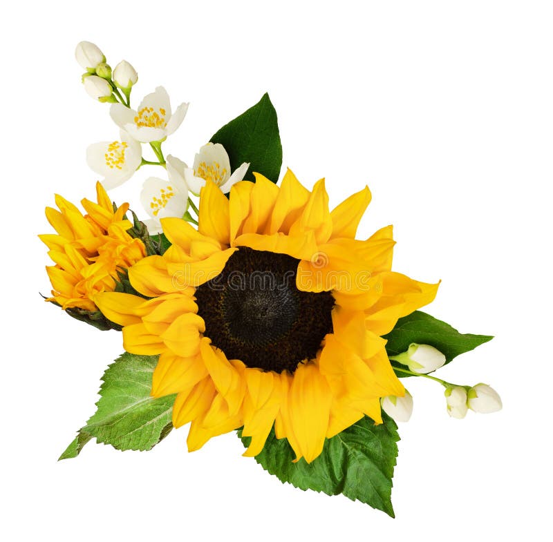 Small Decorative Yellow Sunflower Stock Image - Image of green ...