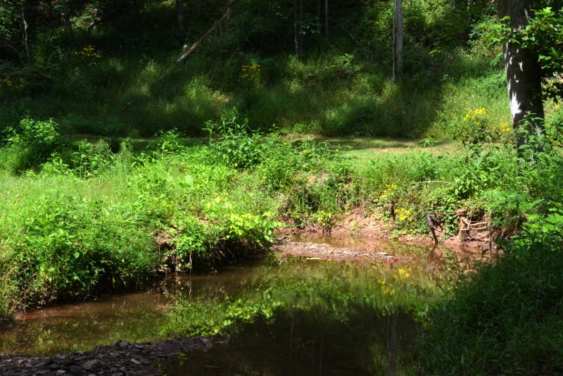 Deep pool stock image. Image of water, outdoors, outside - 98962767