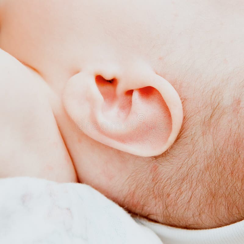 Small Delicate Little Ear of Newborn Stock Photo - Image of skin, peace ...