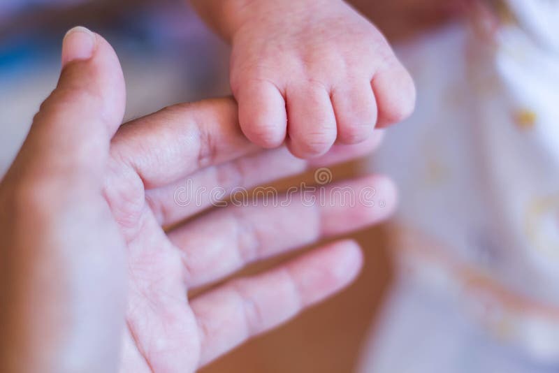 Small Delicate Little Hand of Newborn - Close Portrait Stock Photo ...