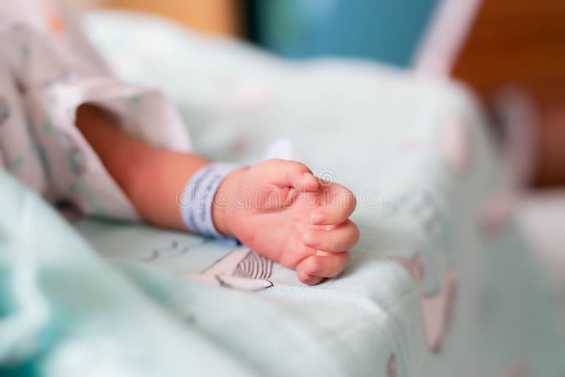 Small Delicate Little Hand of Newborn - Close Portrait Stock Photo ...